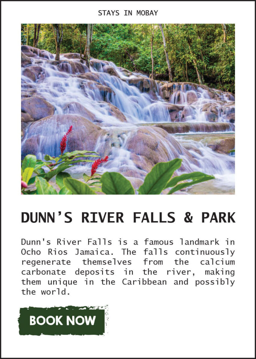 Dunn's River Falls & Park - Blog For All Things Jamaica