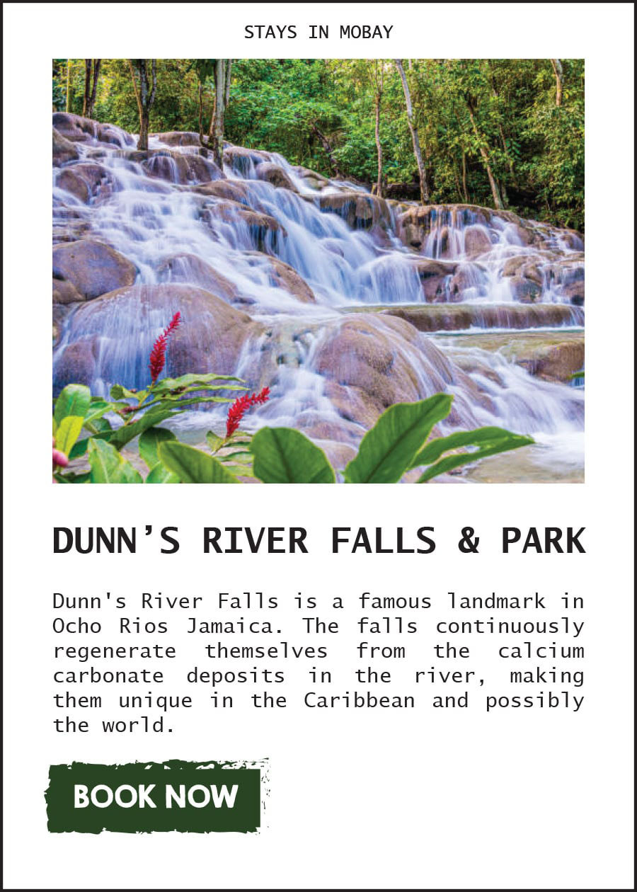 Dunn's River Falls & Park - Blog For All Things Jamaica