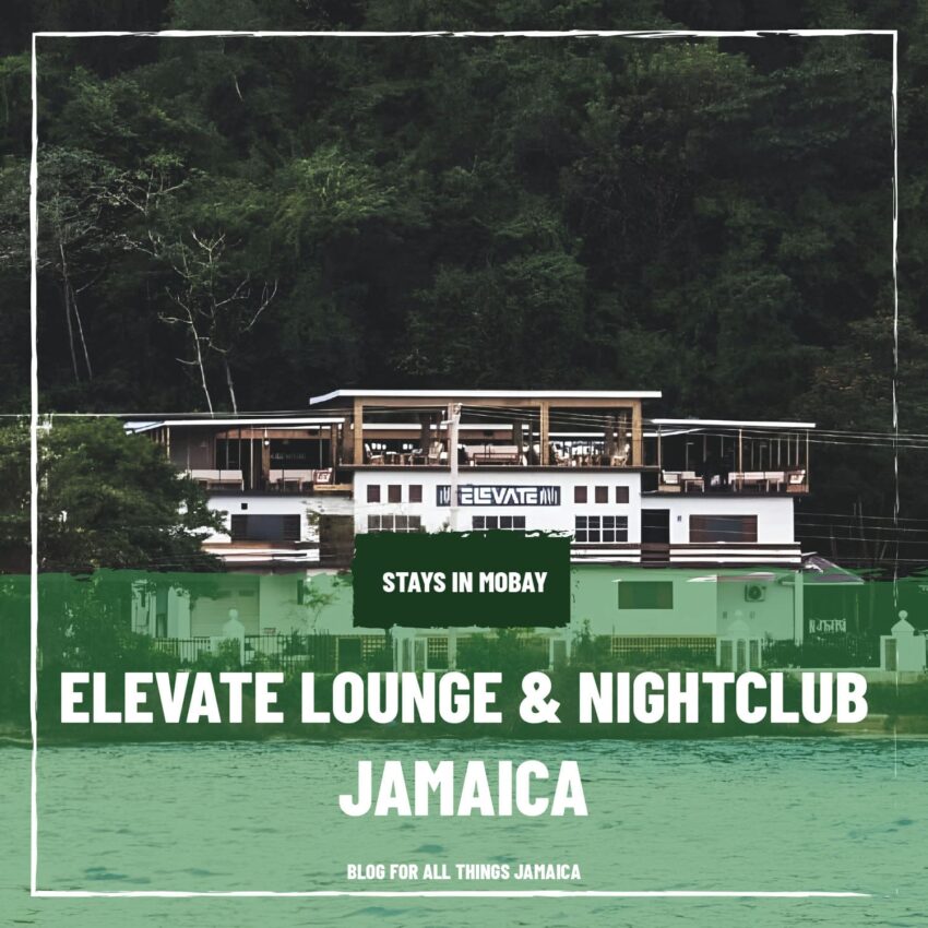 Elevate Lounge & Nightclub - Blog For All Things Jamaica